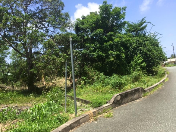 Home - Royalty Tobago